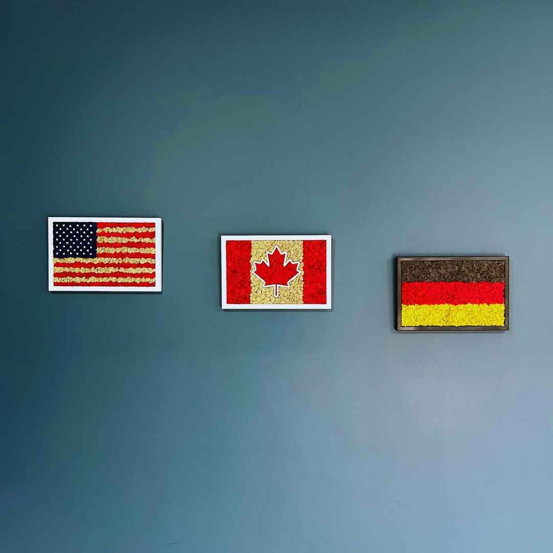 Completely Handmade Flag , Wooden Frame Preserved Moss , United States ...