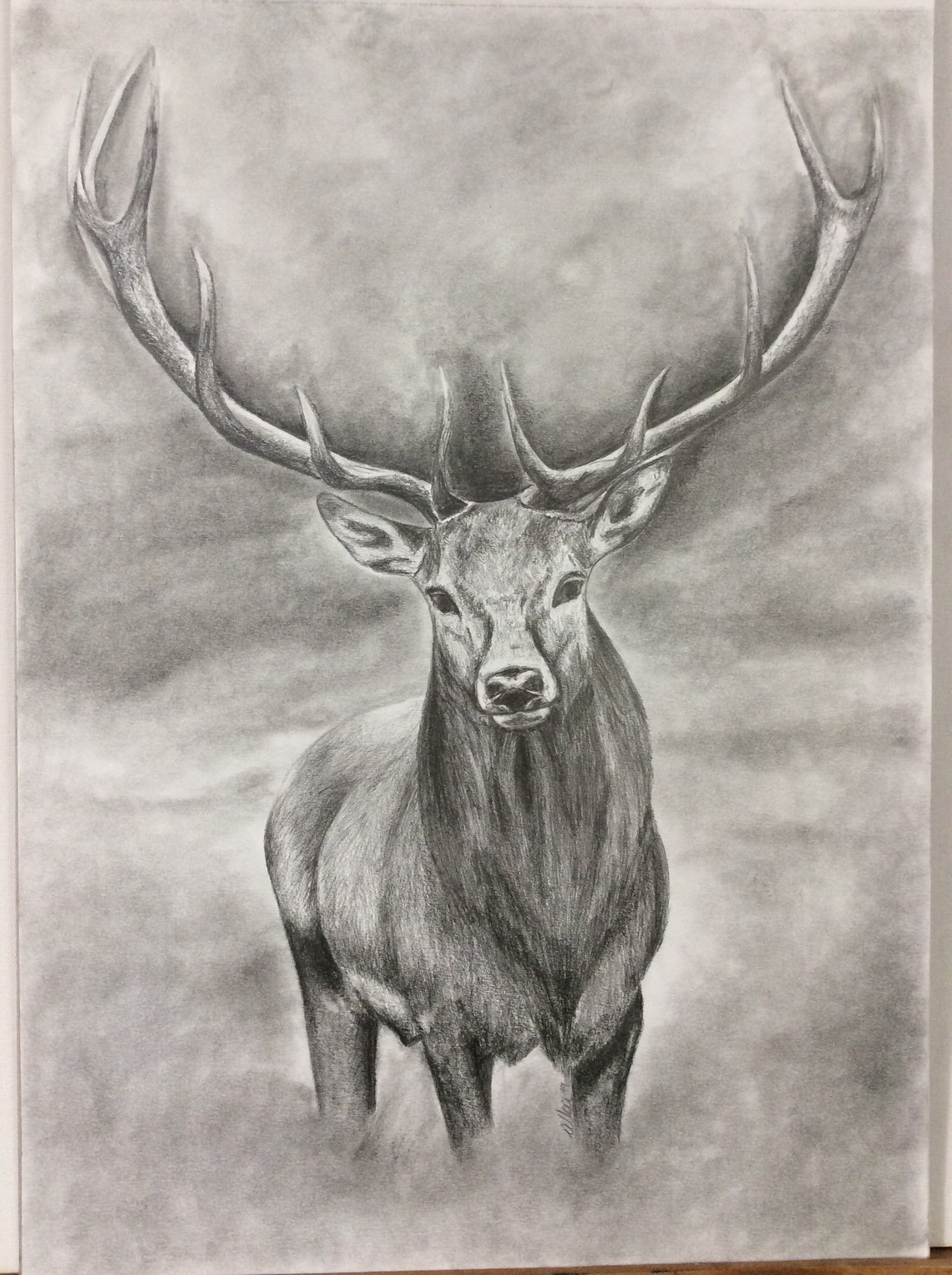 Original Realistic Deer Pencil Drawing - Etsy