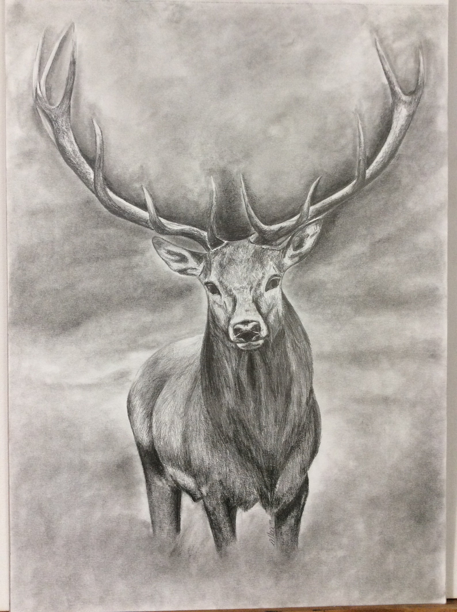 Original Realistic Deer Pencil Drawing - Etsy