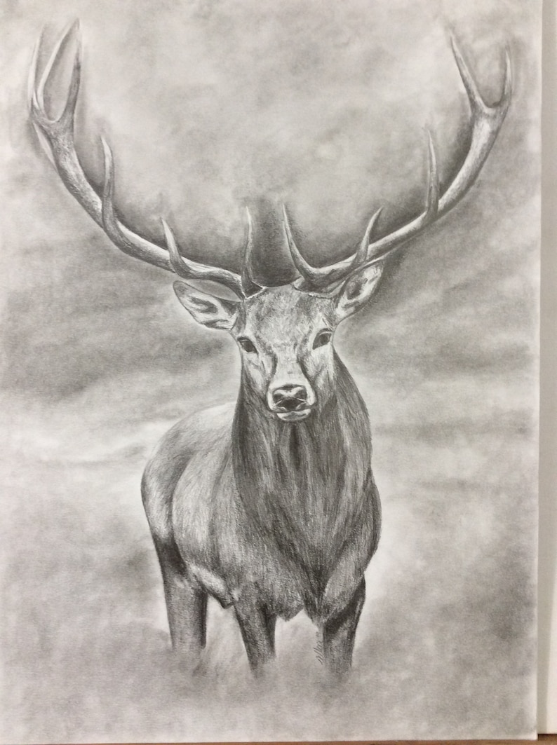 Original Realistic Deer Pencil Drawing - Etsy