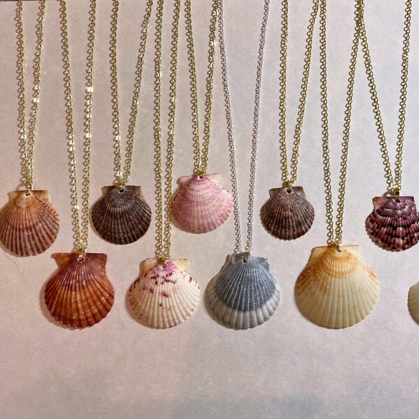 Real Seashell Necklace - Etsy