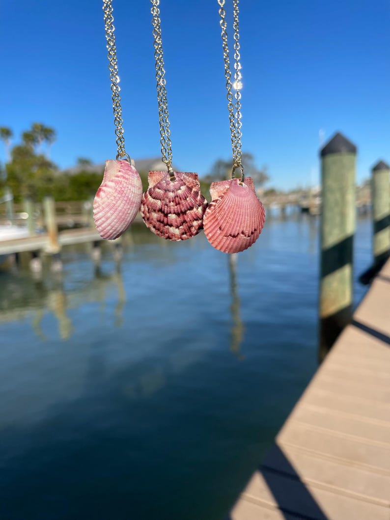 Real Natural Scallop Seashell Pendant Necklaces Gold or Silver Chain ...