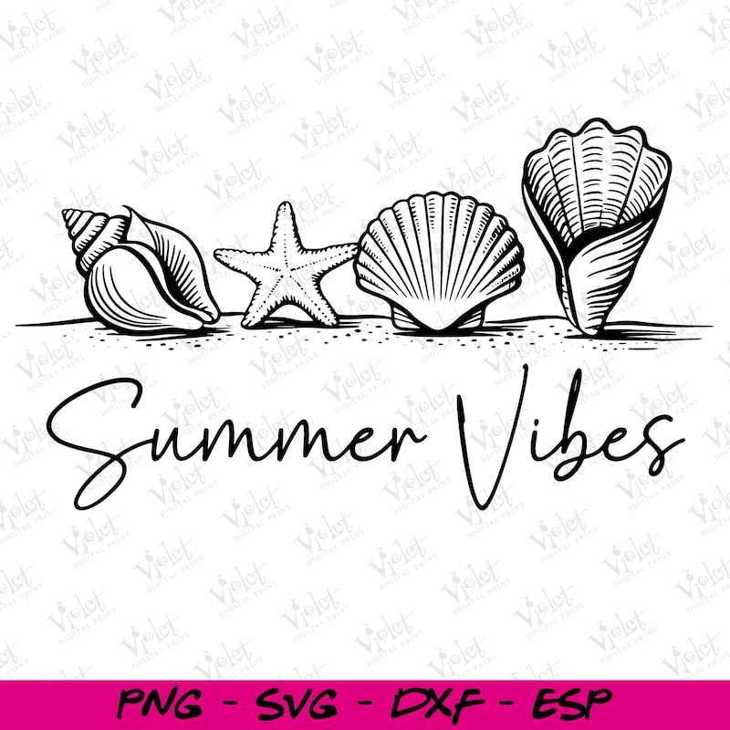 Seashells Svg - Etsy