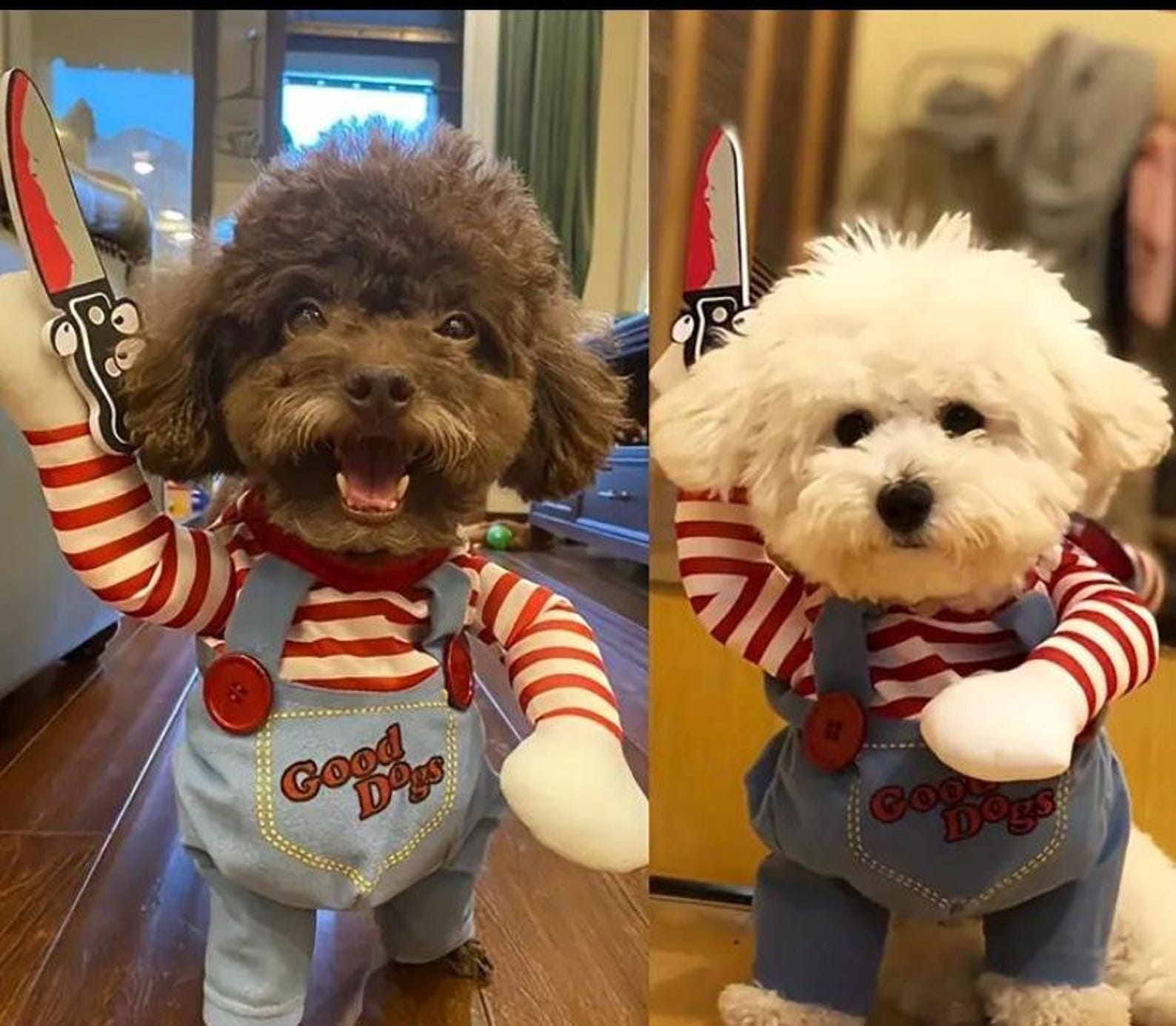 Chucky Dog Costume for Halloween “gooddogs” - Etsy