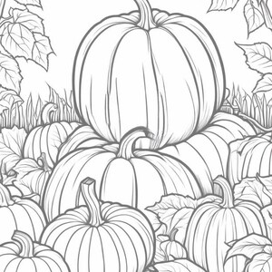 Fall Pumpkin Coloring Book Instant Digital Download, Easy, Fun and ...
