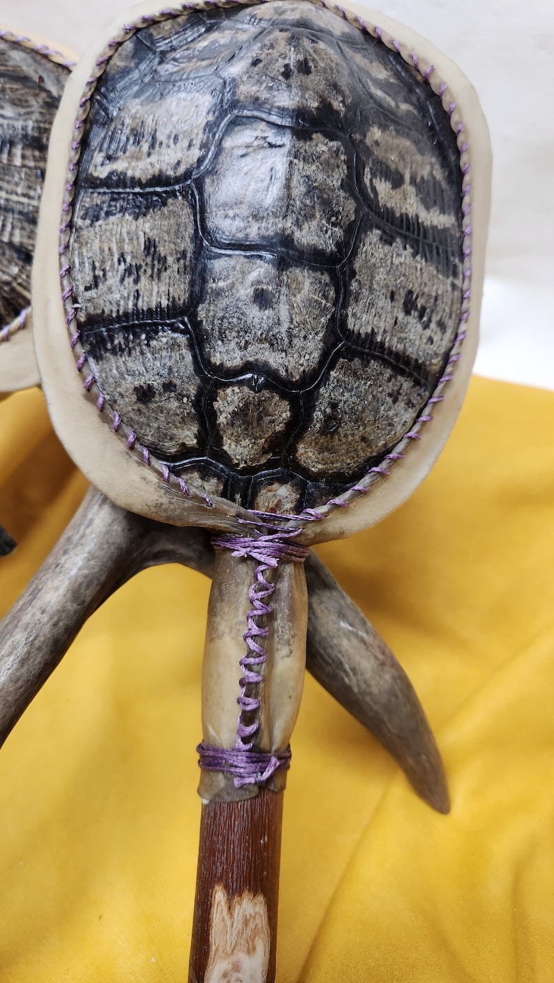 Turtle Shell Rattle - Etsy