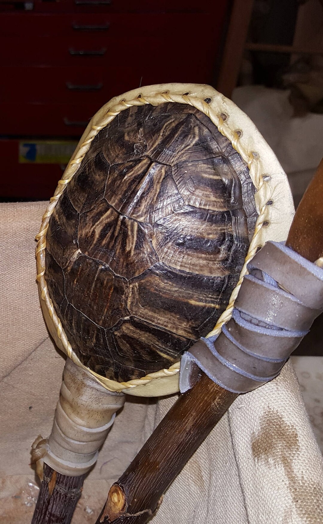 Turtle Shell Rattle - Etsy