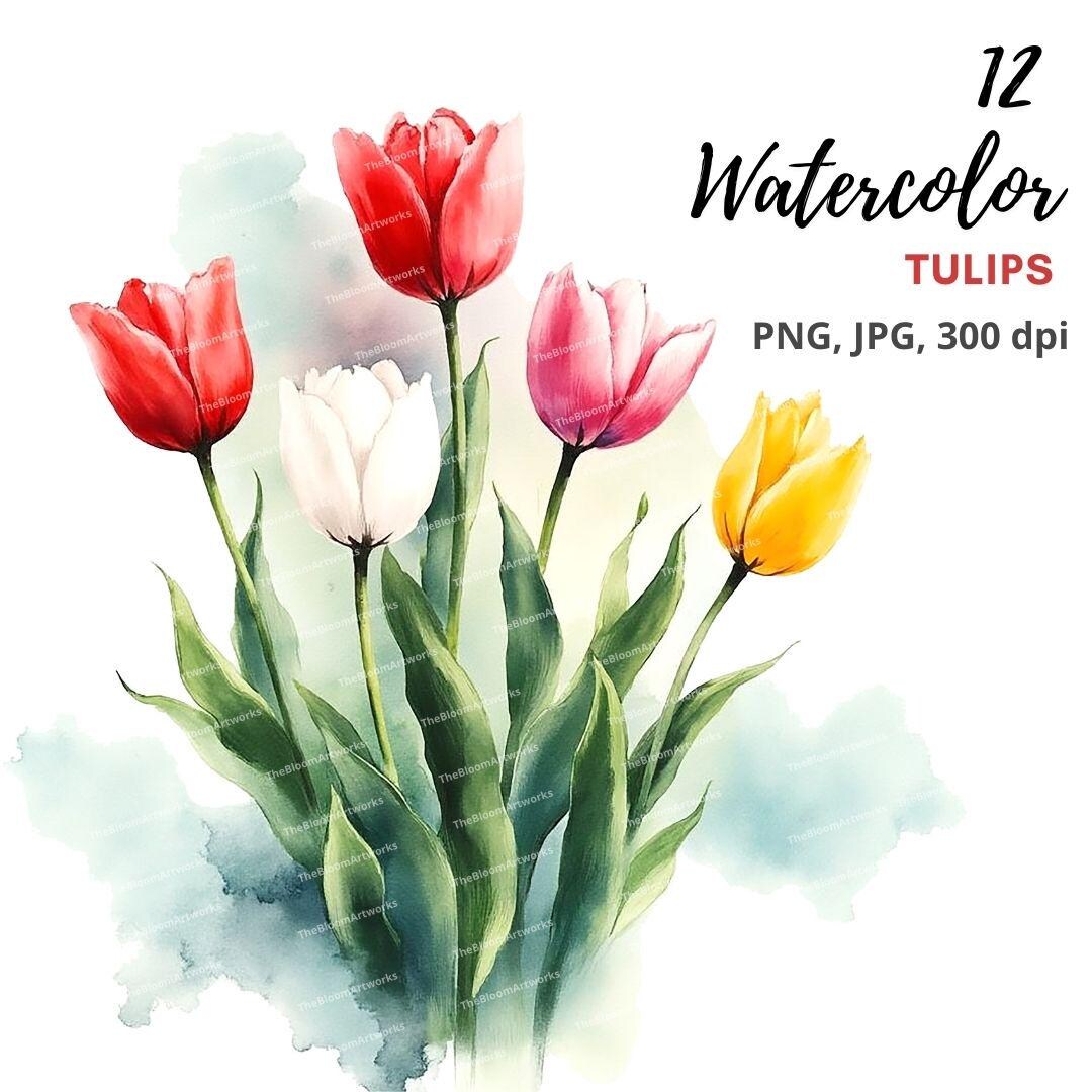 12 Watercolor Tulips Clipart, Tulip Bouquet, Flowers Clipart, Red ...
