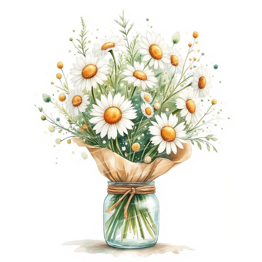 14 Watercolor Daisies Clipart, Daisy Bouquet, Rustic Wildflowers ...