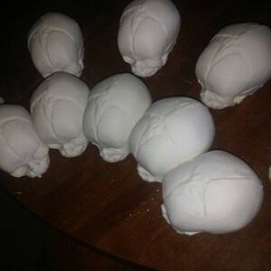 Wholesale 10ct Baby Skull Head Real Size Fetus Goth Oddity - Etsy