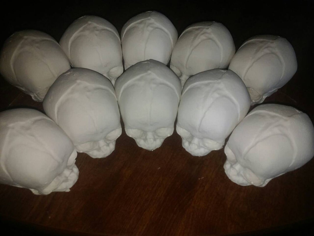 Wholesale 10ct Baby Skull Head Real Size Fetus Goth Oddity - Etsy