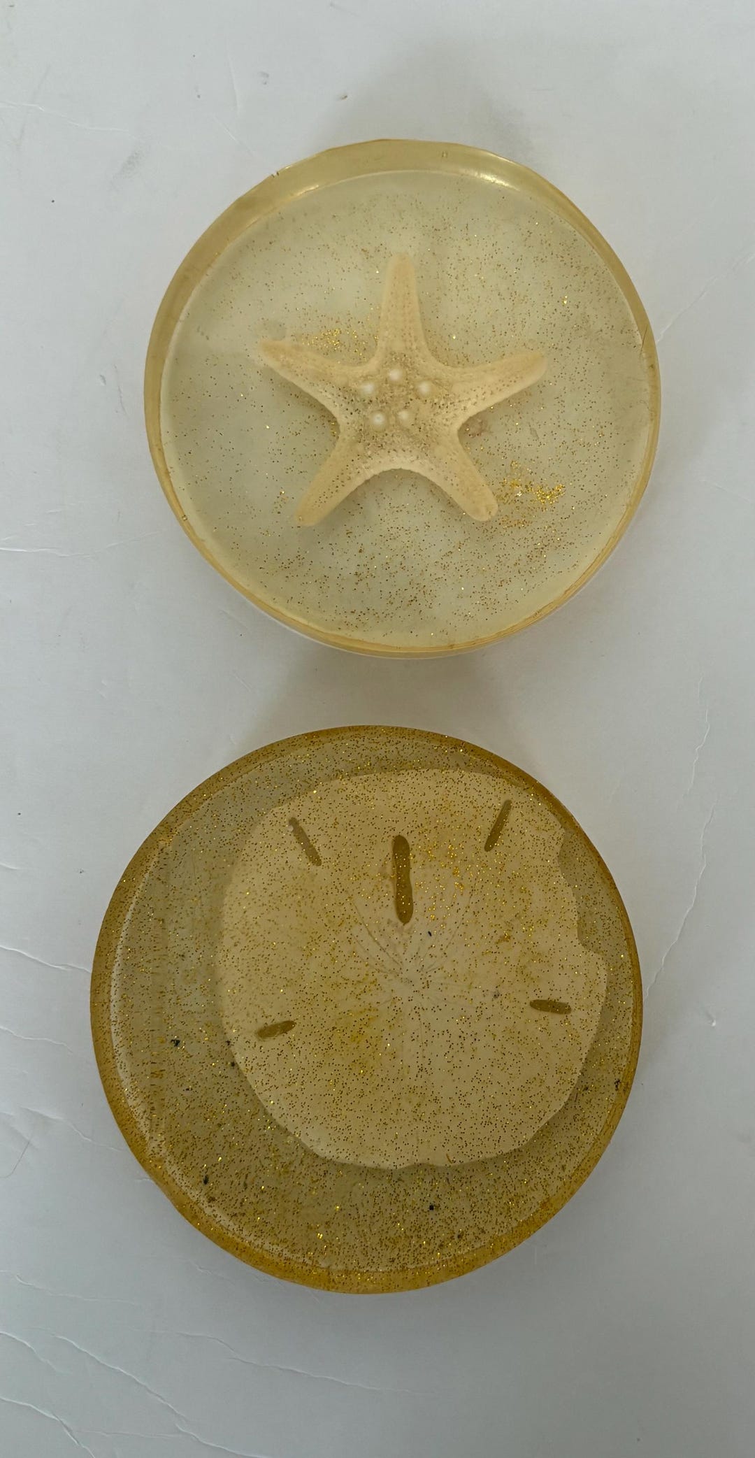Paperweight Coastal Sand Dollar and Starfish Cast in Reain a Pair - Etsy