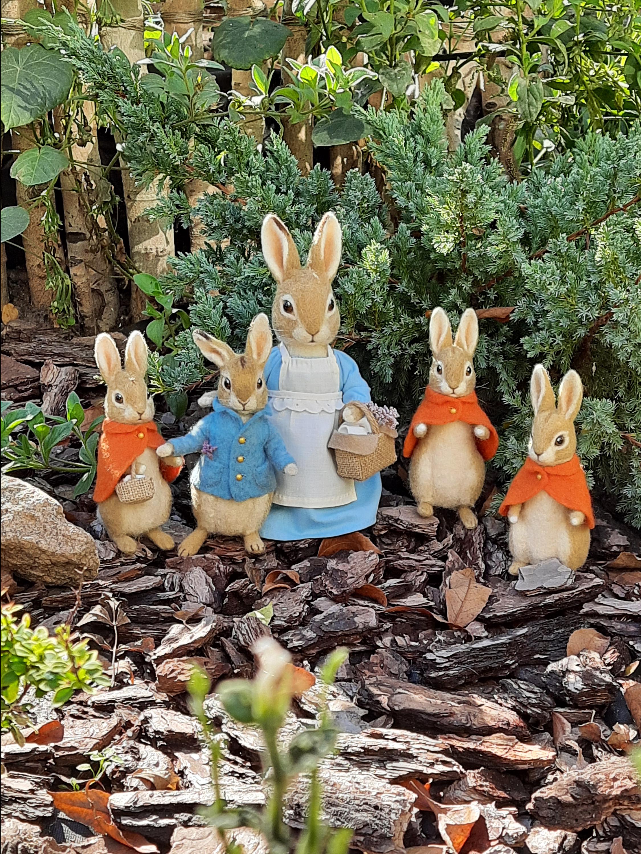 Needle Felted Peter Rabbit Family Sculpture, Customizable Wool Bunnies ...
