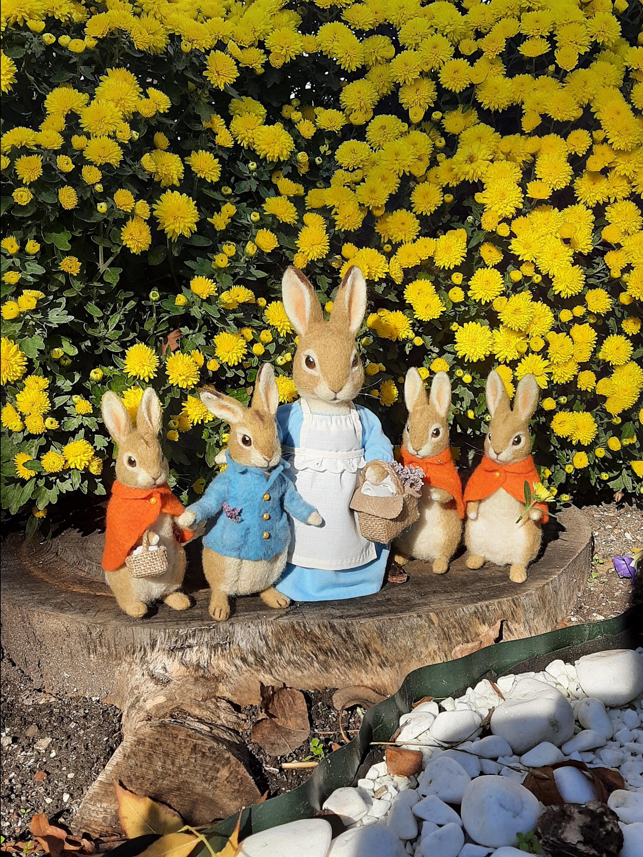 Needle Felted Peter Rabbit Family Sculpture, Customizable Wool Bunnies ...