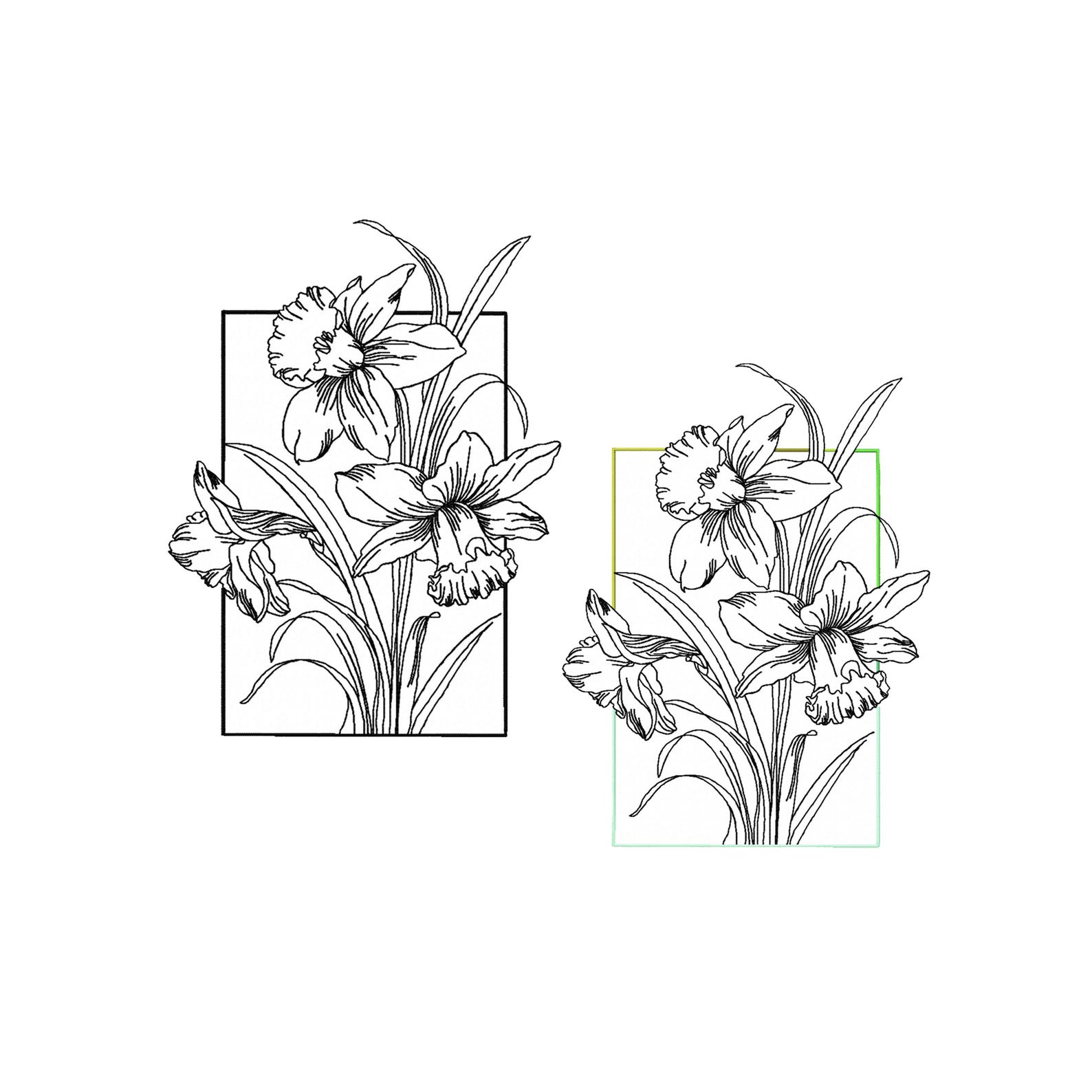 Daffodil Flower Line Art Embroidery, Art Line Embroidery – 5 Sizes ...