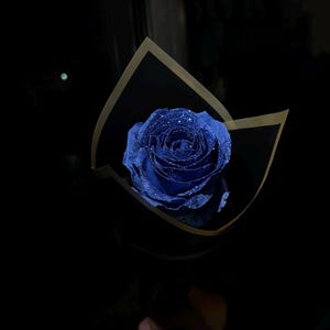 Eternal Silk Glitter Roses - Etsy UK