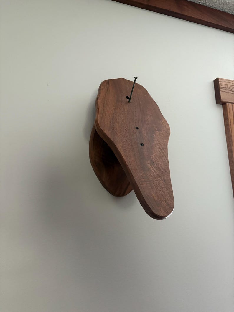 Deer European Skull Mount - Etsy