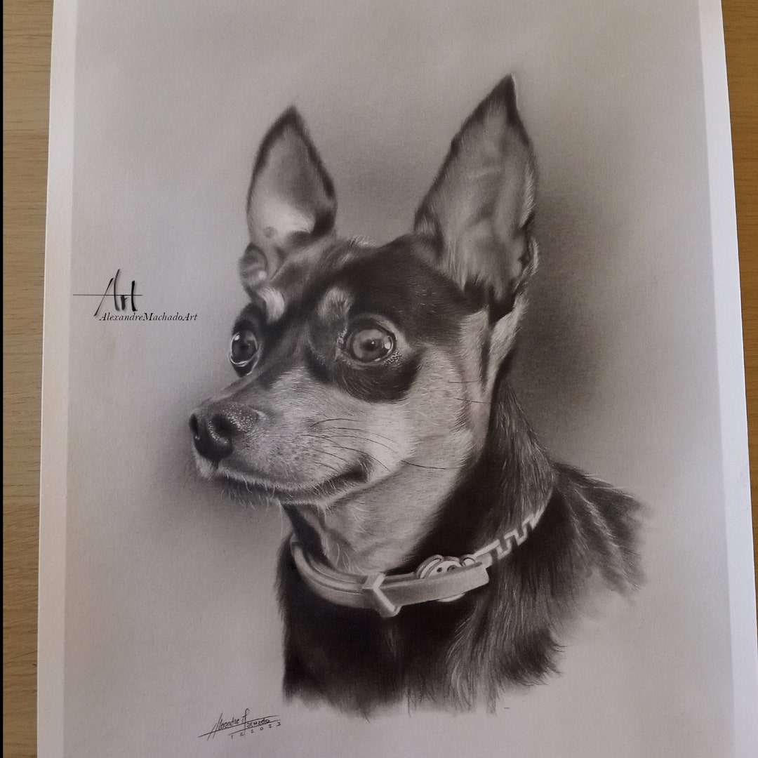 Graphite and Charcoal Animal Portrait Drawings, 100% Hand-drawn, Unique ...