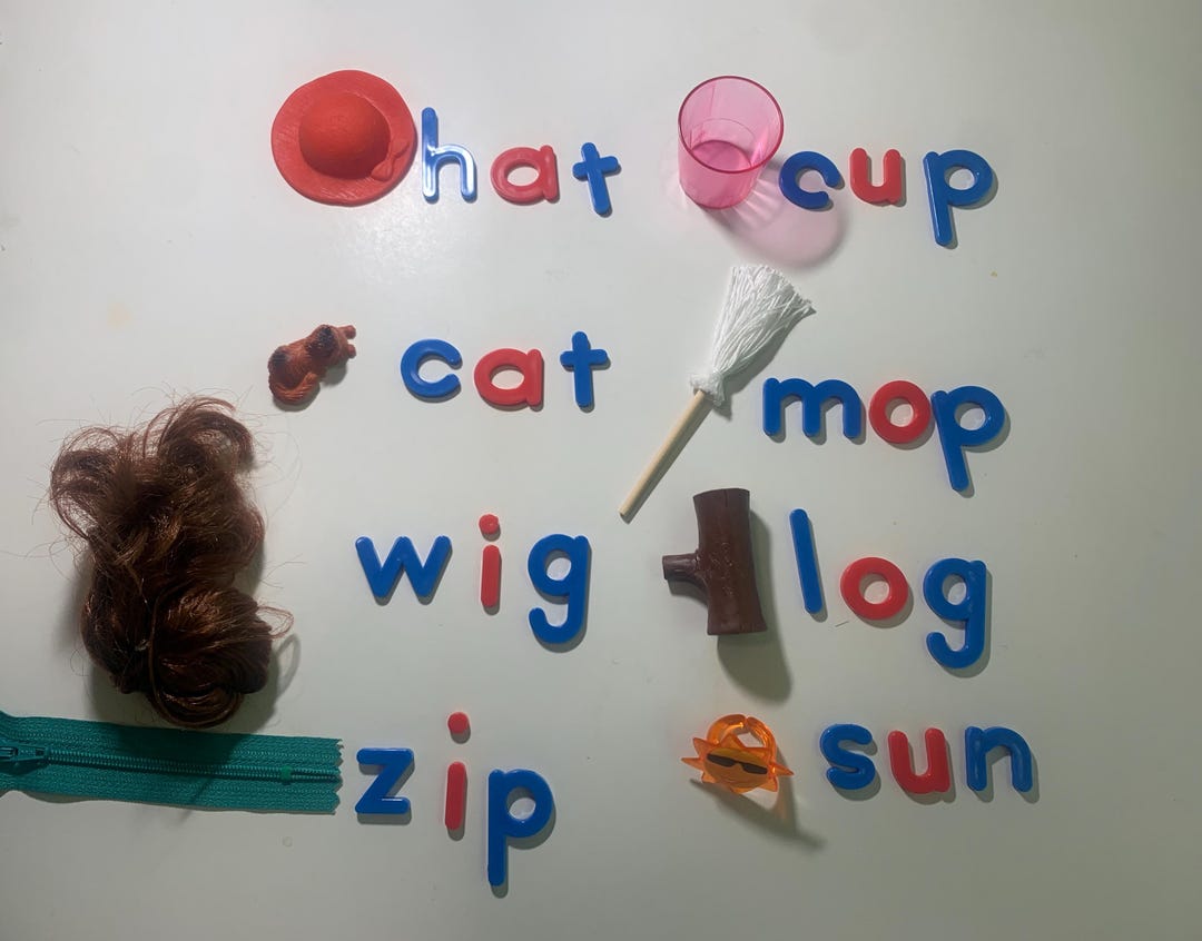 Montessori CVC Moveable Alphabet Words Objects Spelling Reading ...