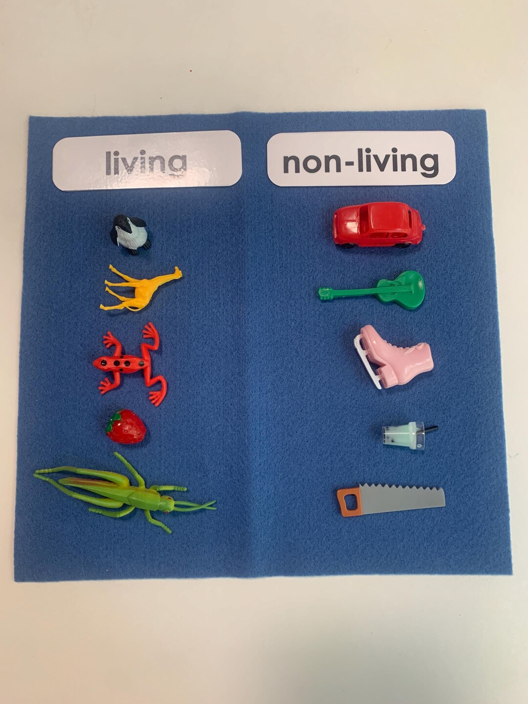 Montessori Classification Living Non-living Science Sorting Set - Etsy
