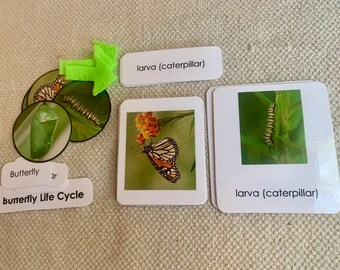 Butterfly Life Cycle 3 Part Montessori Cards Science Homeschool - Etsy
