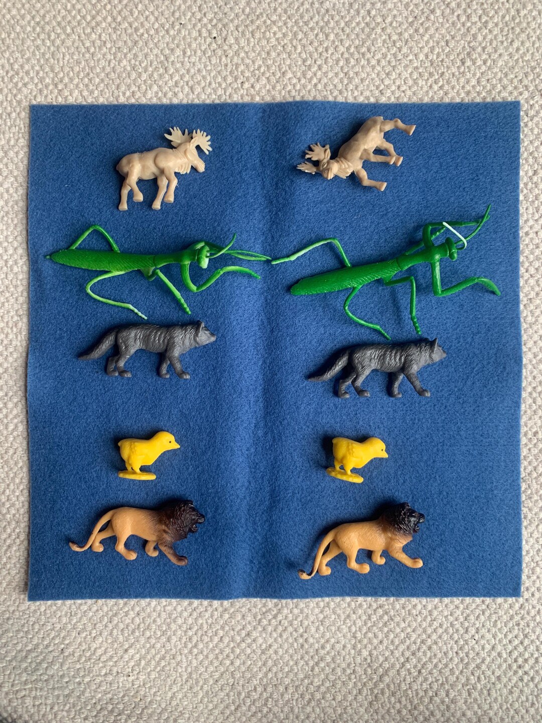 Montessori Animal Sorting Matching Set Play Reggio - Etsy