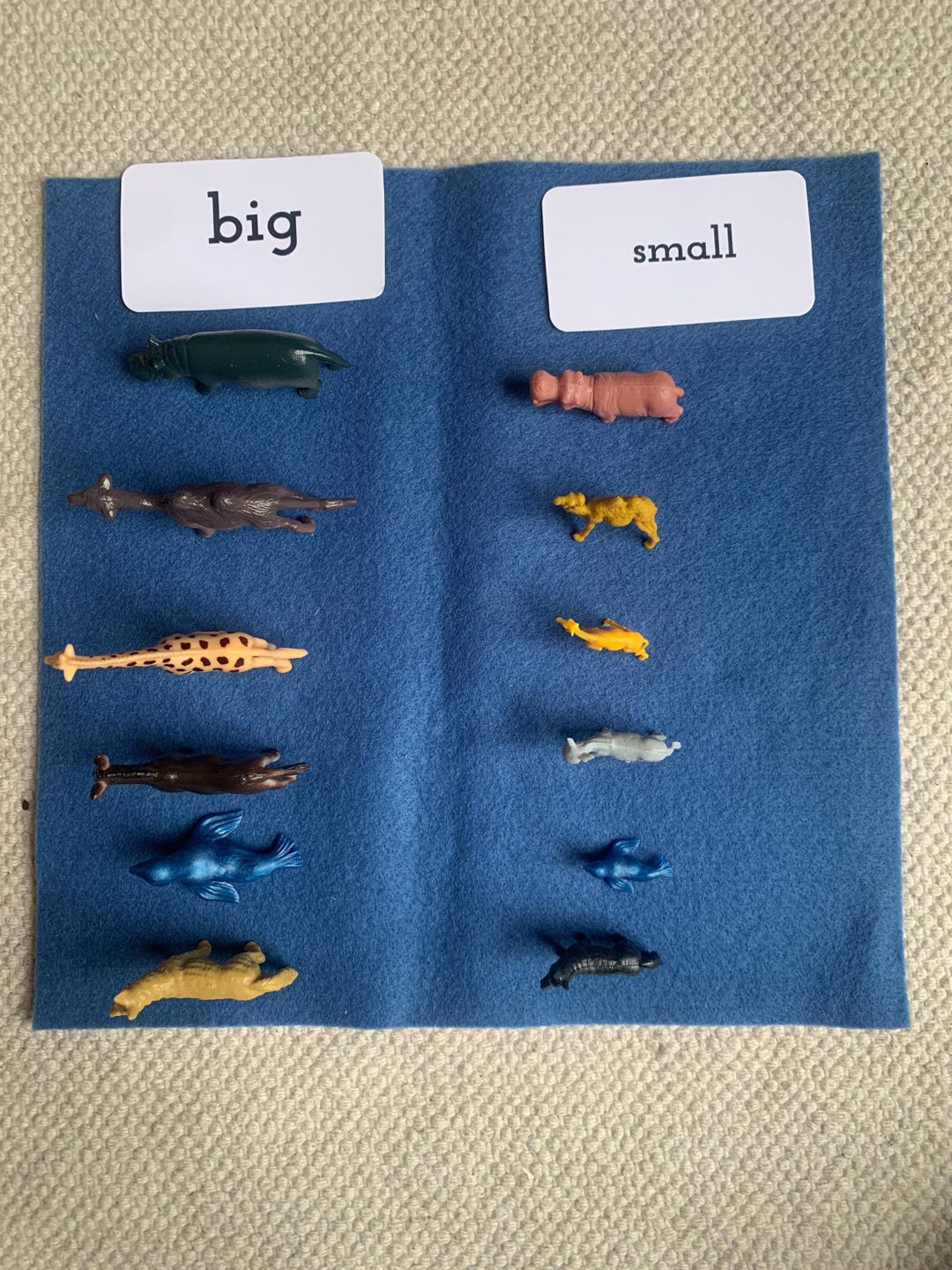 Montessori Classification Big Small Science Animal Sorting Matching Set ...