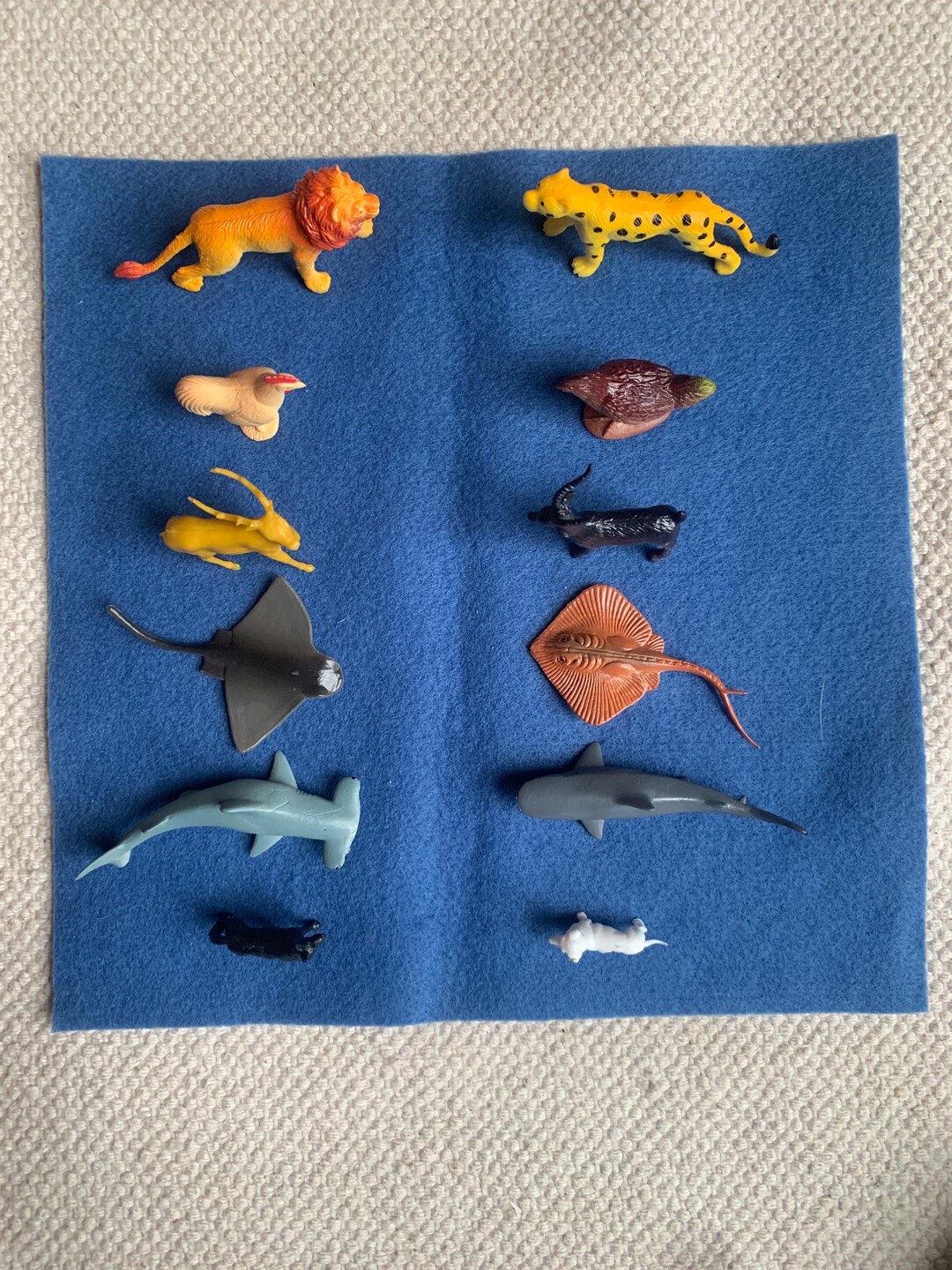 Montessori Classification Animal Species Science Sorting Matching Set ...