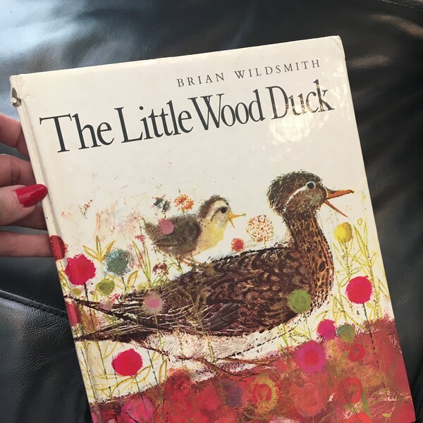 Brian Wildsmith - Etsy