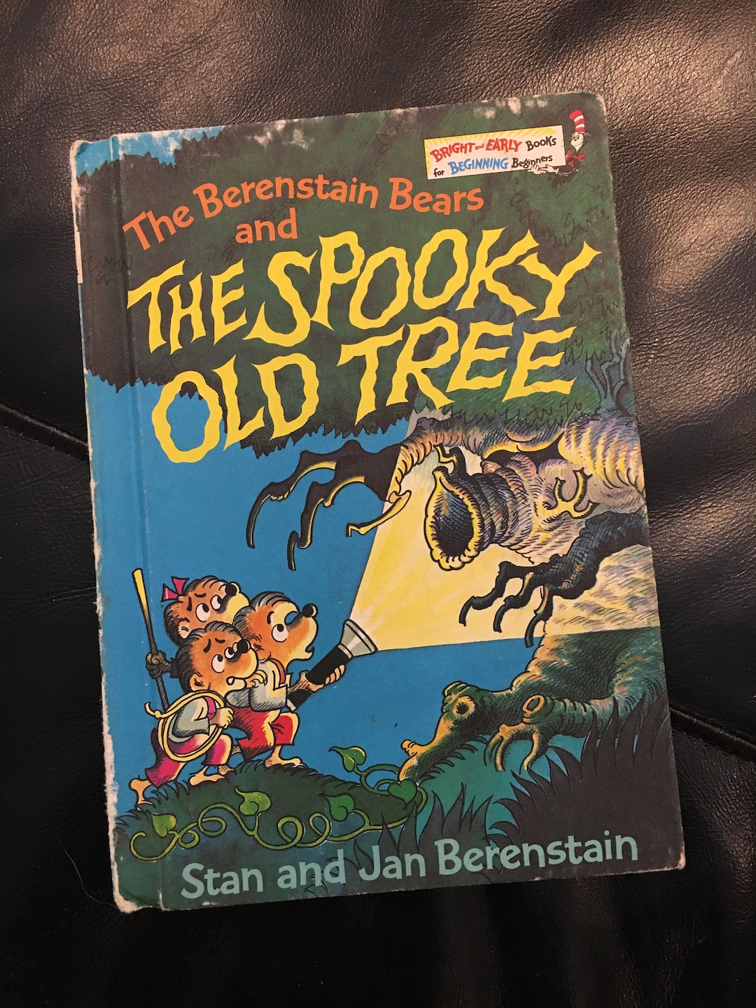 The Berenstain Bears and the Spooky Old Tree Vintage 1978 Childrens ...