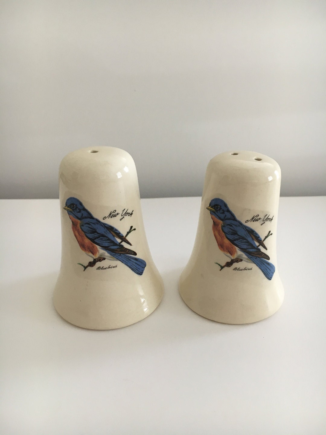 Vintage Salt Pepper Shaker Set, Bluebird, New York Souvenir, Ceramic ...