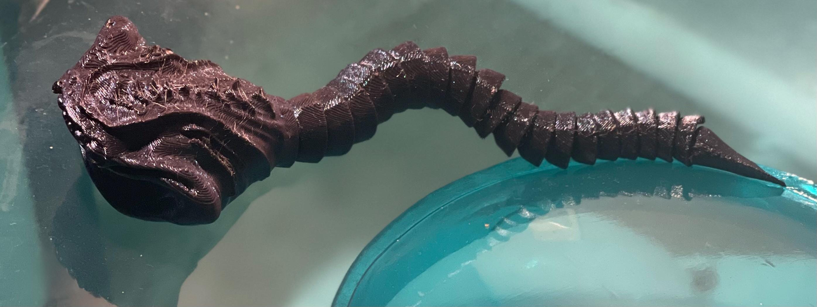 El Gran Maja Sea Creature - Flexible 3D Printed Sea Creature Fidget Toy ...