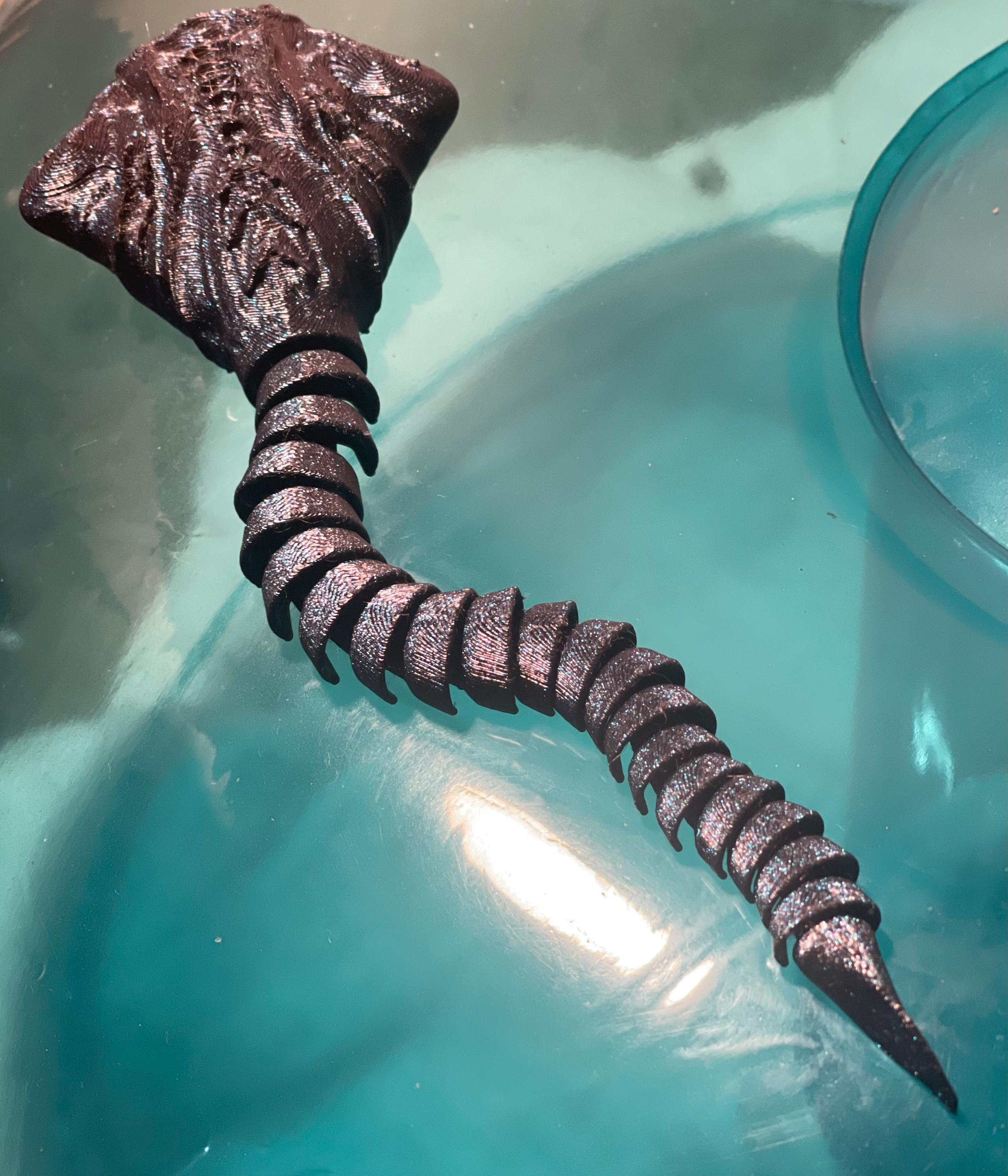 El Gran Maja Sea Creature - Flexible 3D Printed Sea Creature Fidget Toy ...