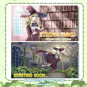 Custom Animated Stream Screen / Twitch Overlay Package / Starting Soon ...