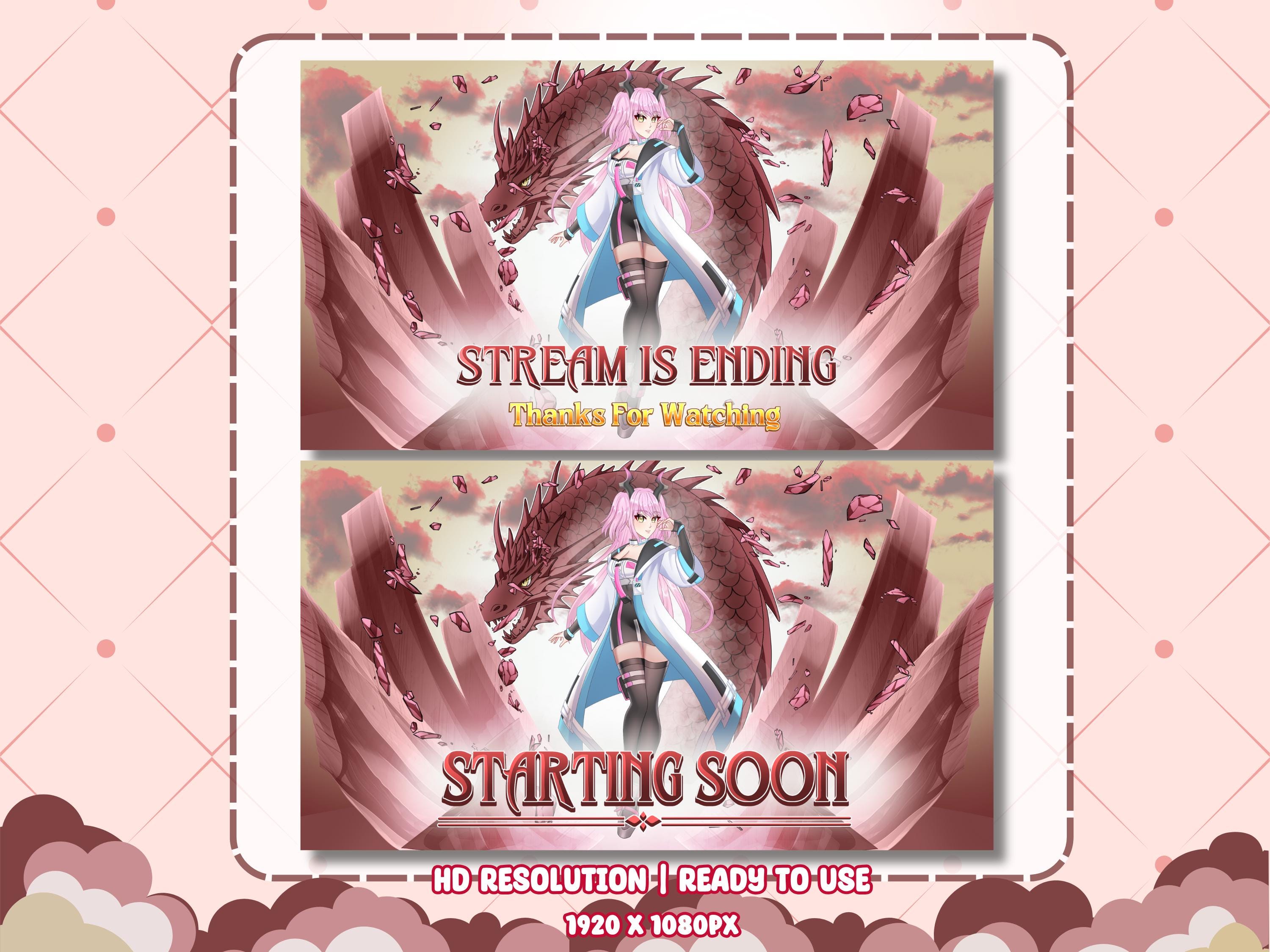 Custom Animated Stream Screen / Twitch Overlay Package / Starting Soon ...