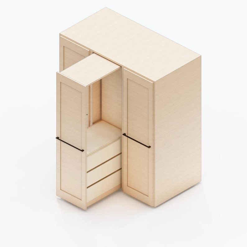 DIY Pull-out Closet Cabinet Plans: 3-panel Organizer (digital PDF ...