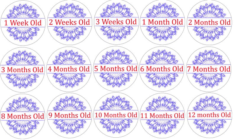 Baby Milestone Numbers SVG - Etsy