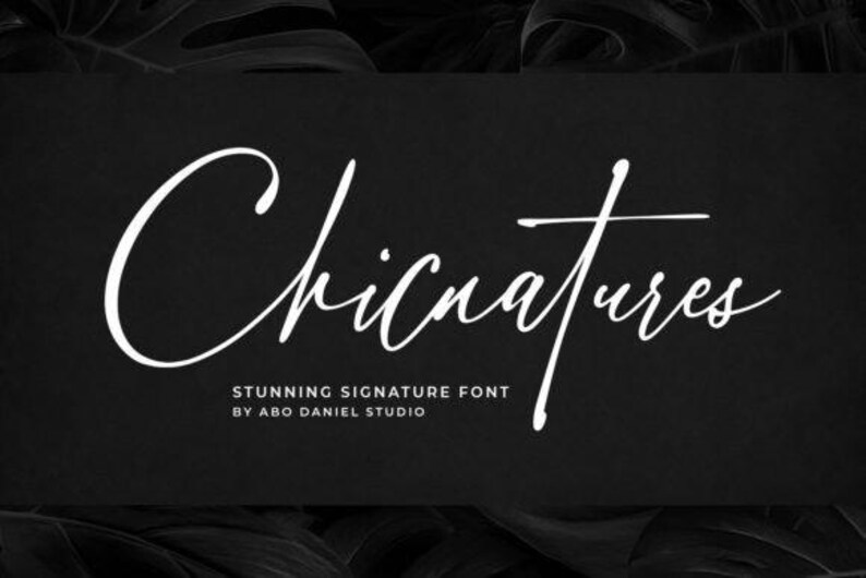 Signature Font Bundle: 53 Modern Fonts for Cricut, Procreate (TTF, OTF ...