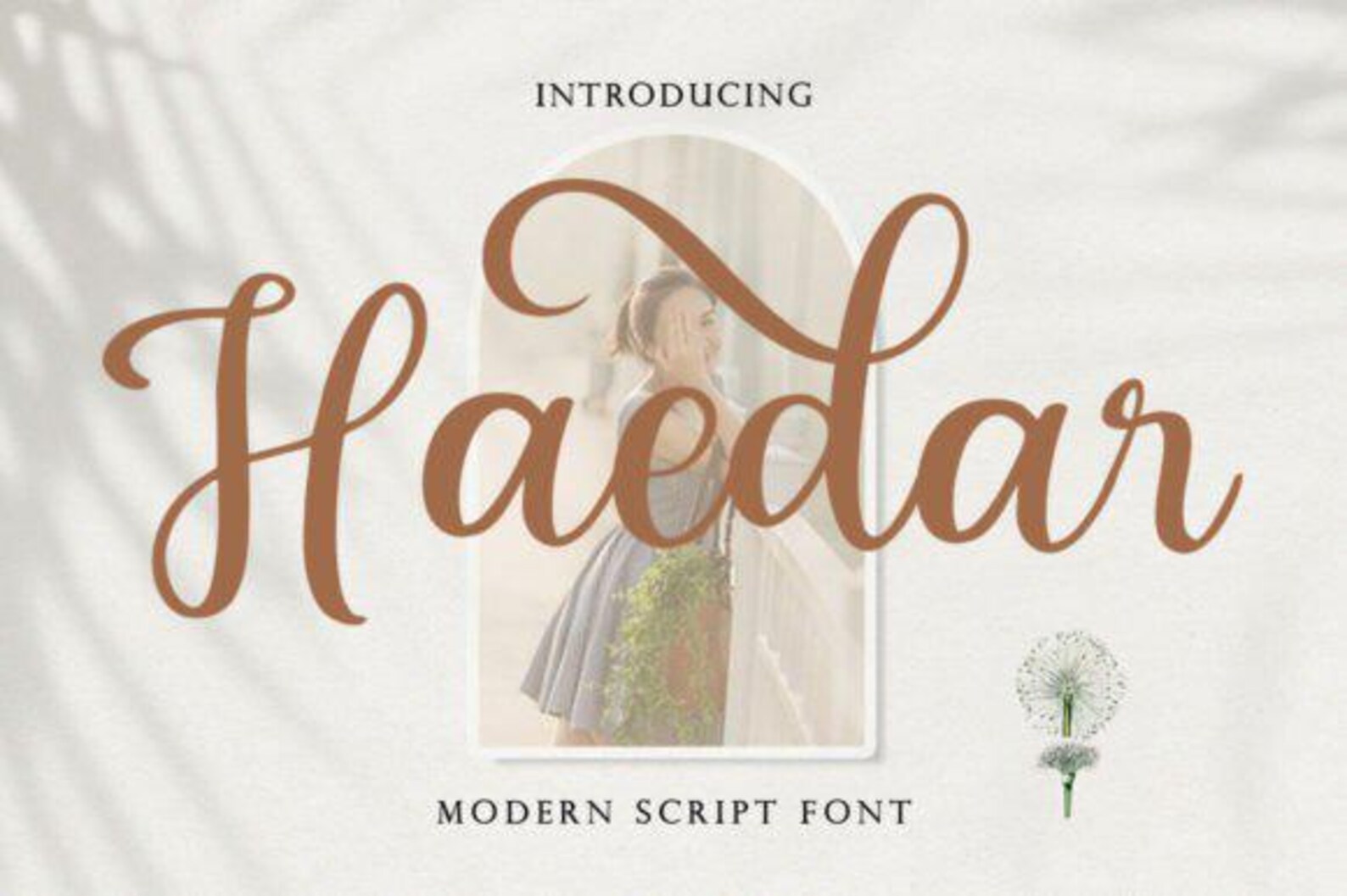 Modern Script Font Bundle: 30 Logo & Wedding Fonts - Etsy