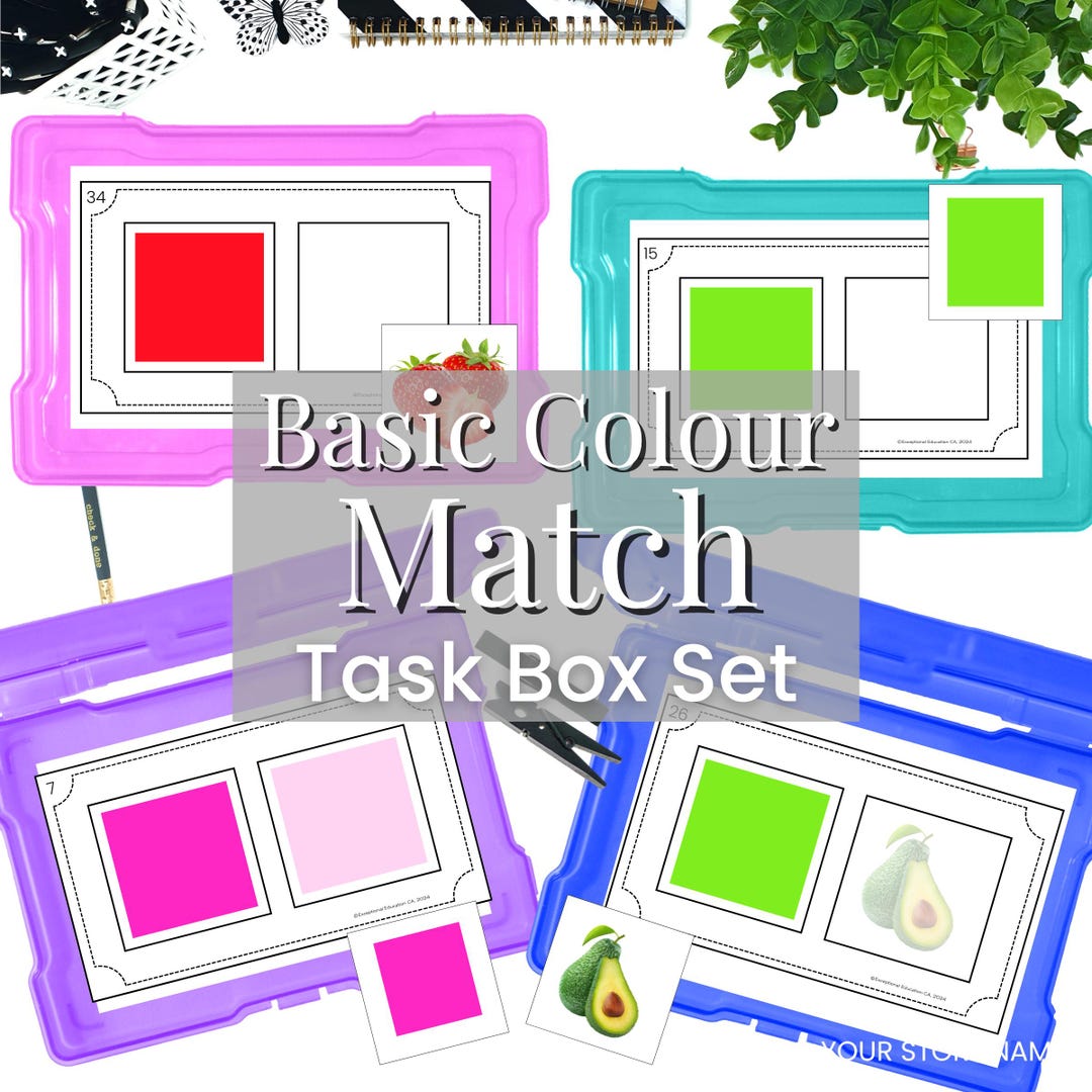 Prompting Hierarchy Color & Image With Errorless Matching Task Card Set ...