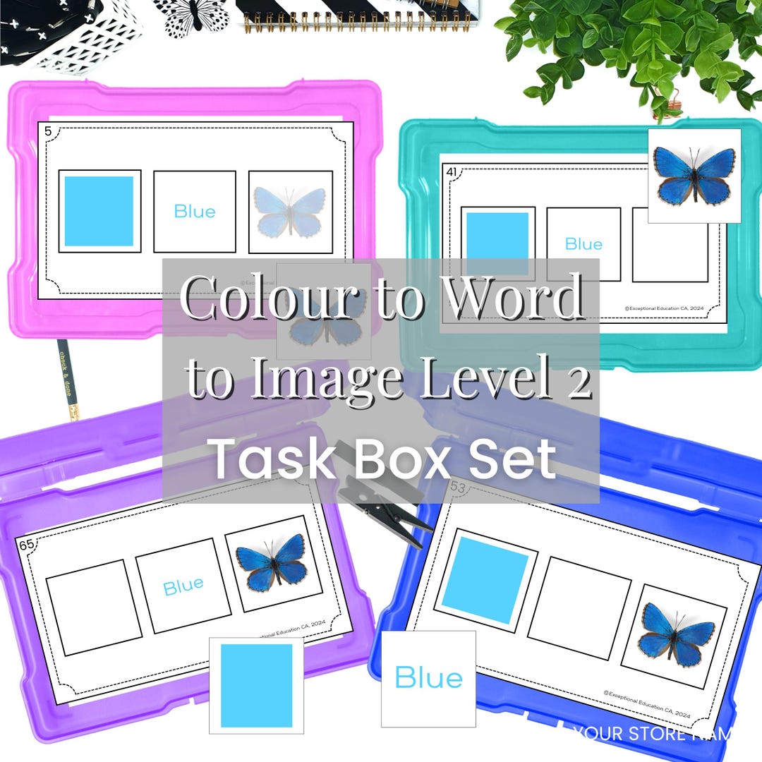 Prompting Hierarchy Color to Word to Image Errorless Match Task Card ...