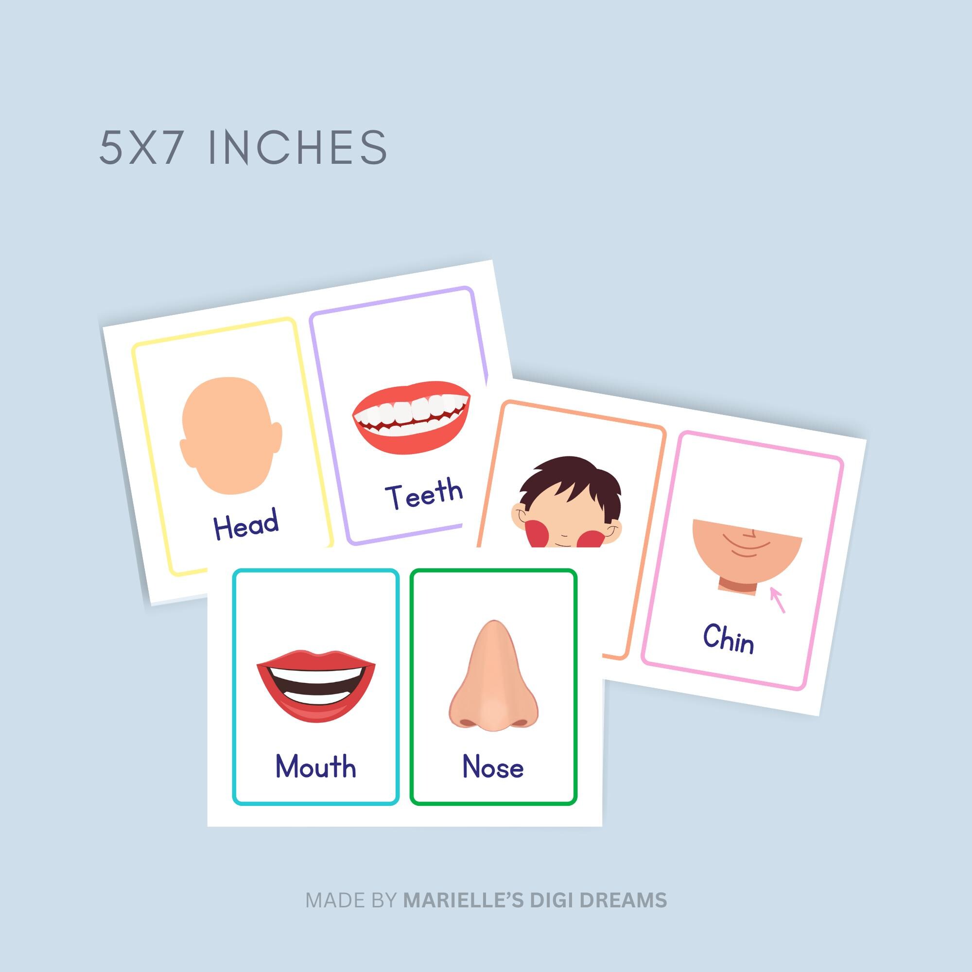 Body Parts Flashcards for Toddlers, Printable Baby Learning Cards ...