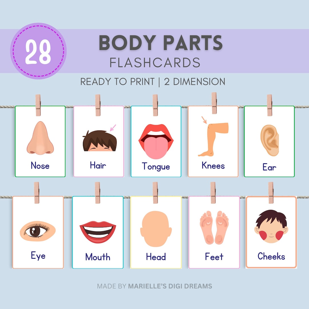 Body Parts Flashcards for Toddlers, Printable Baby Learning Cards ...