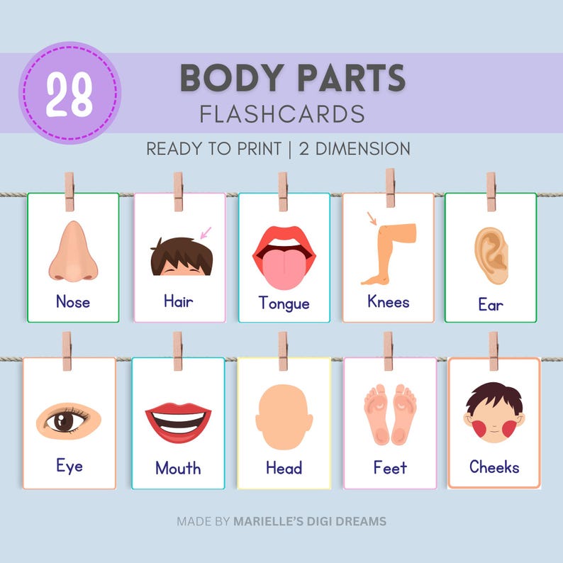 Body Parts Flashcards for Toddlers, Printable Baby Learning Cards ...