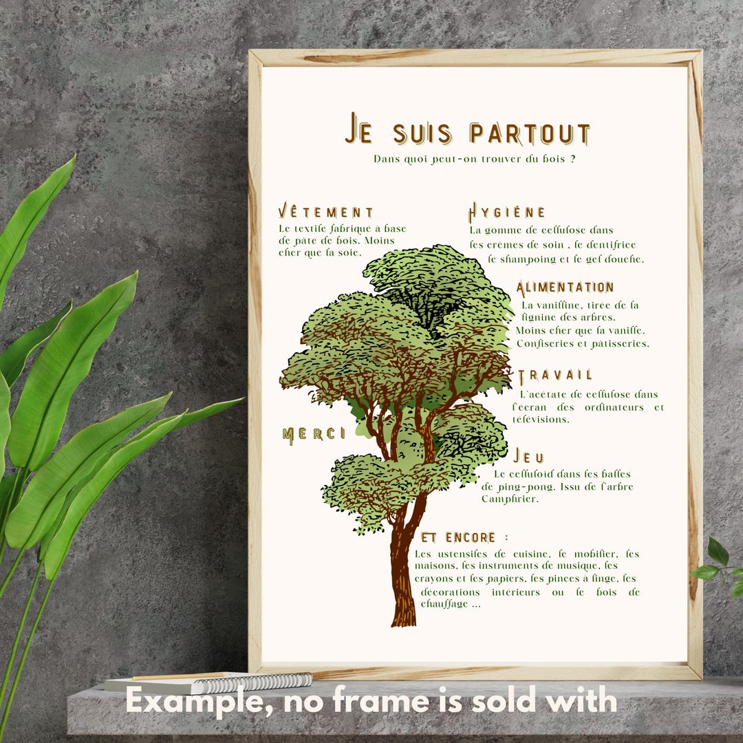 Educational Tree Poster, Information on Wood on Our Plates, Earth Day ...