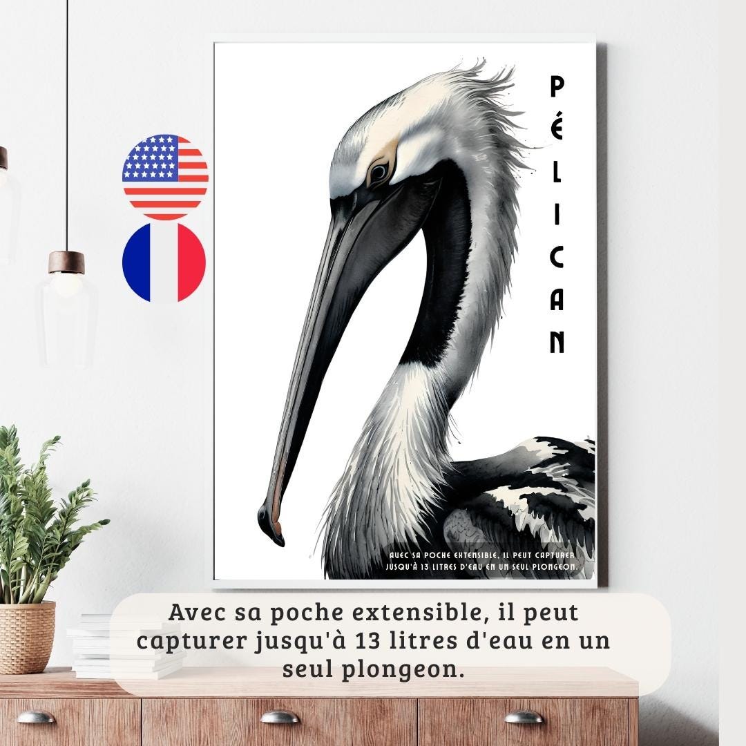 Pelican Poster in French and English, Seabird Wall Art, Pelican ...
