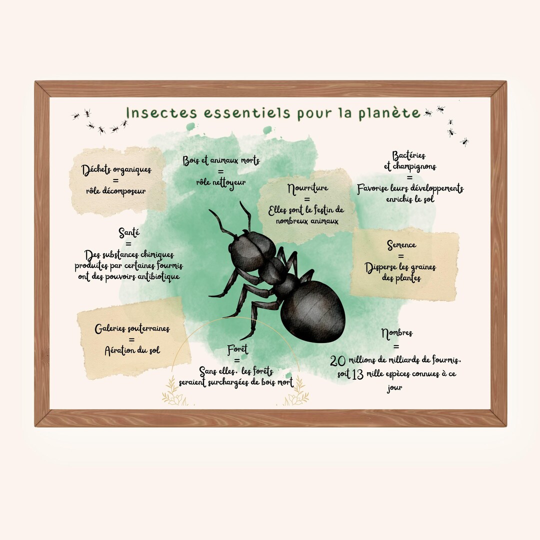 Poster Raising Awareness of Insects and Animals, Ecological Role ...