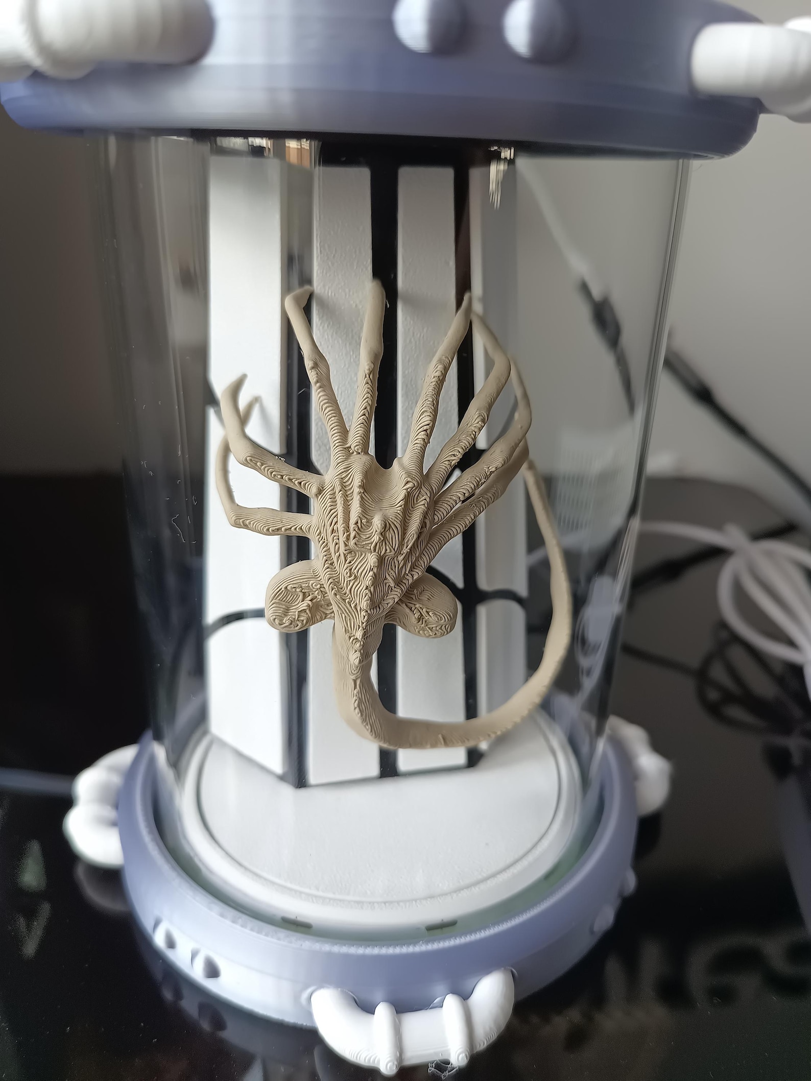 Xenomorph Facehugger Prop | Alien Movie Replica Incubator Display - Etsy