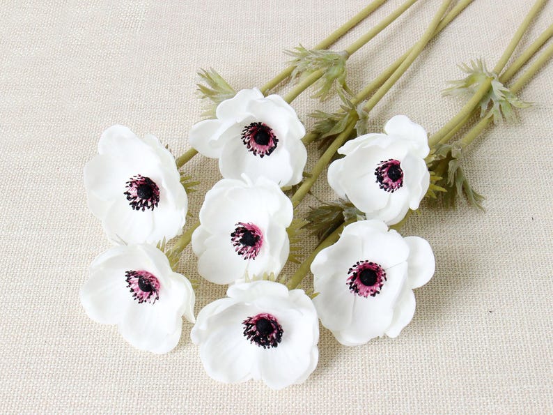 Royal Blue Anemones Stem,navy Blue Anemones,white Anemones,diy Anemones ...