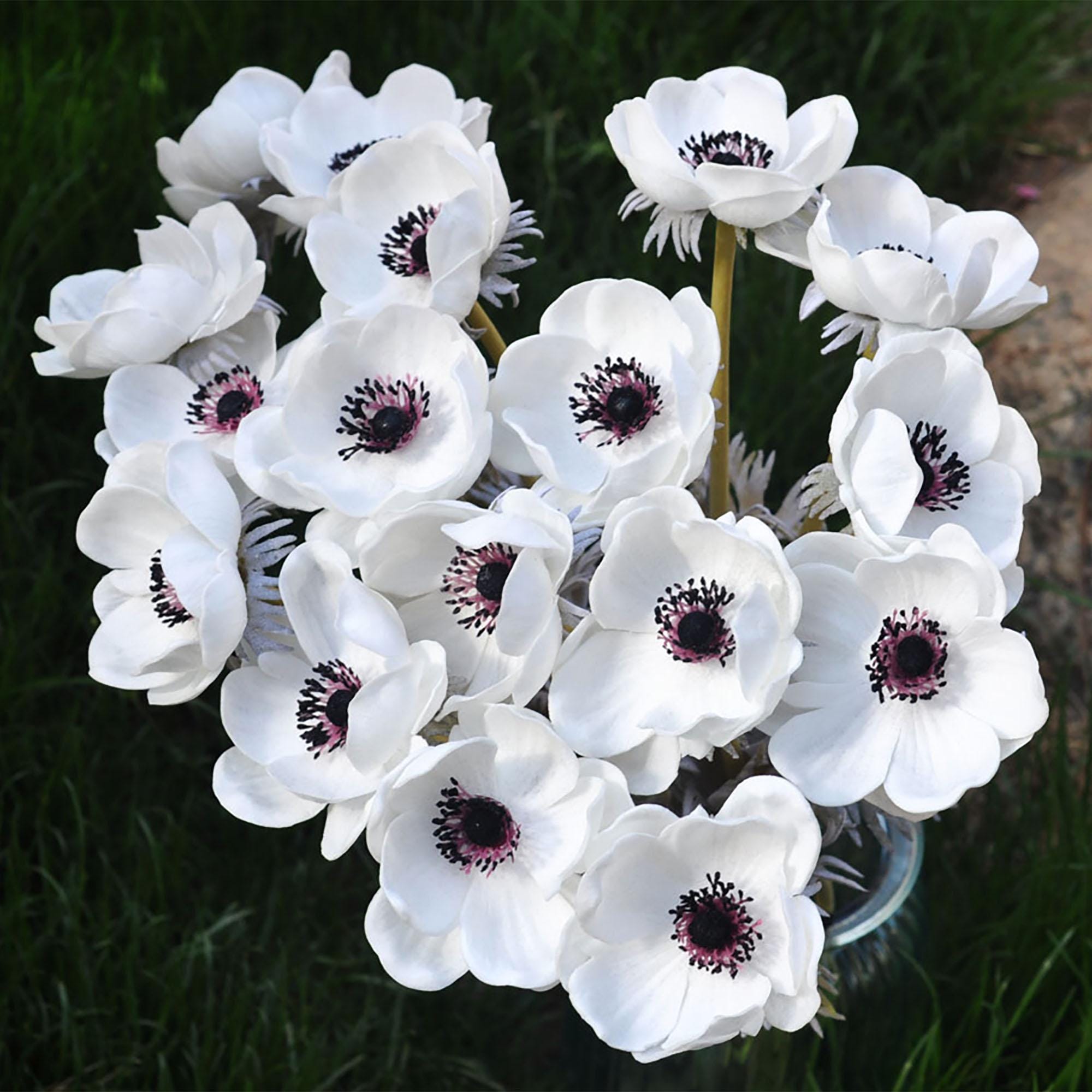 White Anemones,real Touch White Anemones,navy Blue Anemones,anemones ...